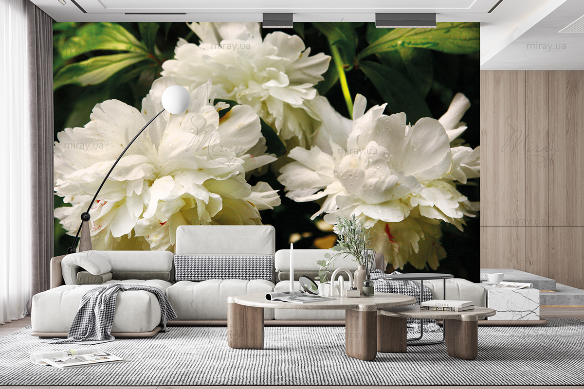 Белые пионы фотообои купить на заказ, цены в Украине - Miray